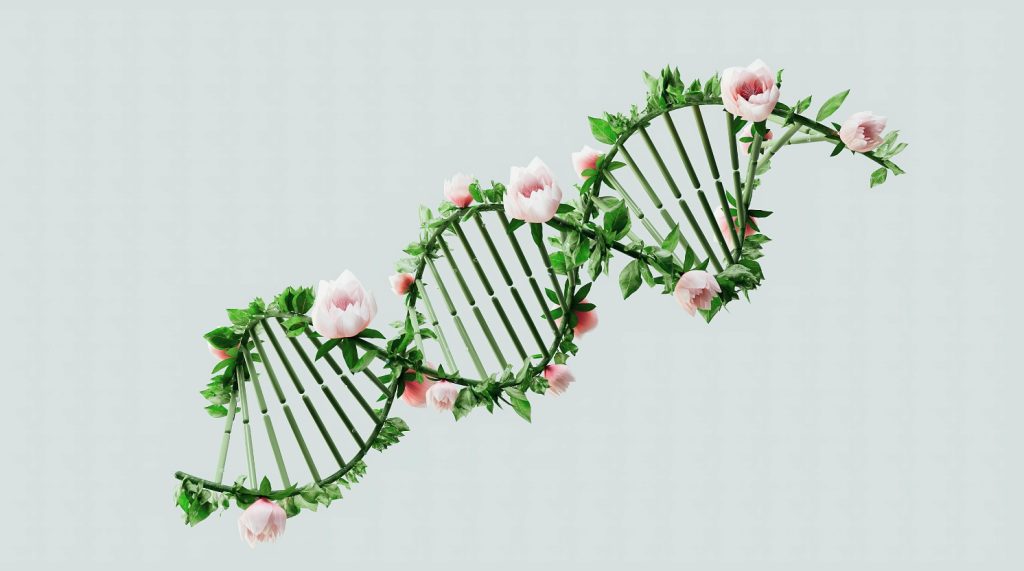 What is the Definition of Longevity - Bondmeds